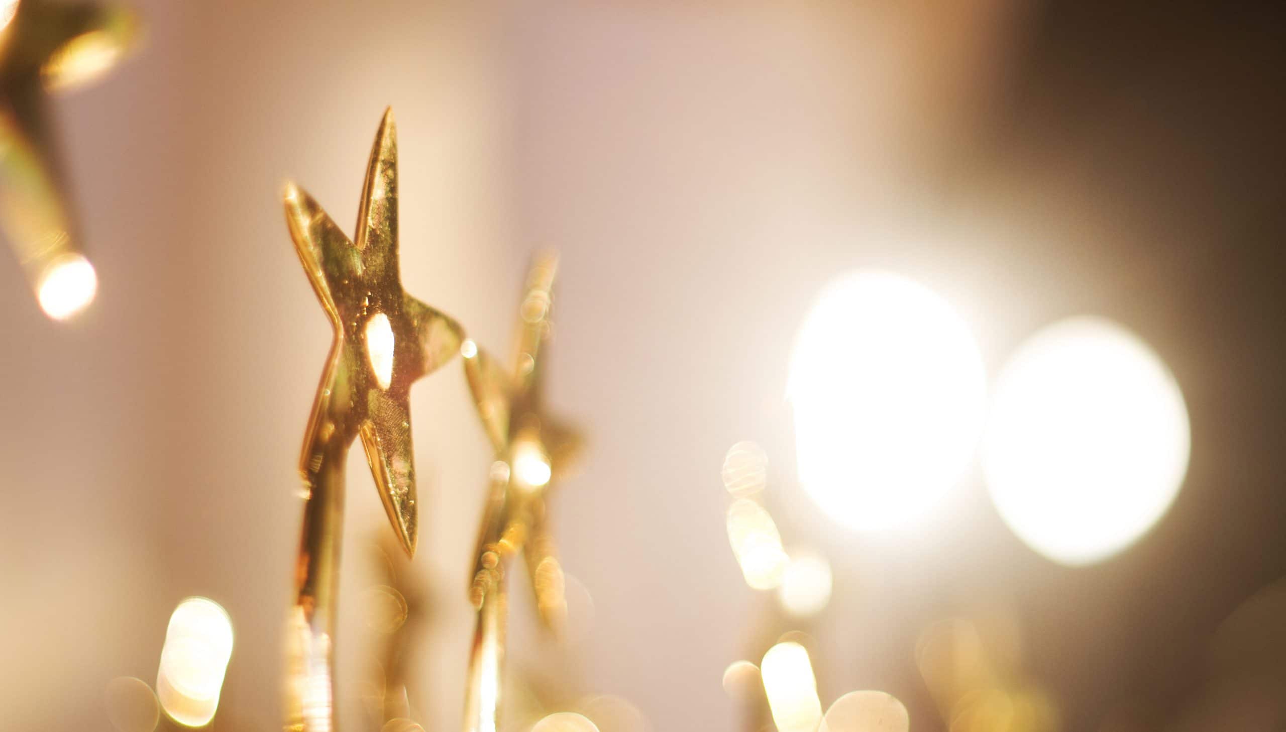 Awards and Recognitions - Price Kong