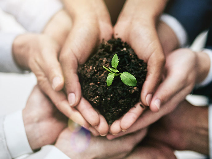 Price Kong Internship Program | Price Kong